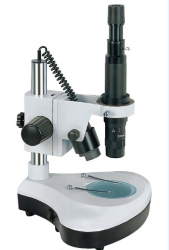 Labomed Digital Microscope Models | Labomed manufactures microscopes ...