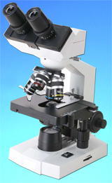 Labomed, Inc. Microscope Photo Gallery