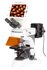 Labomed Inc. Microscope Information